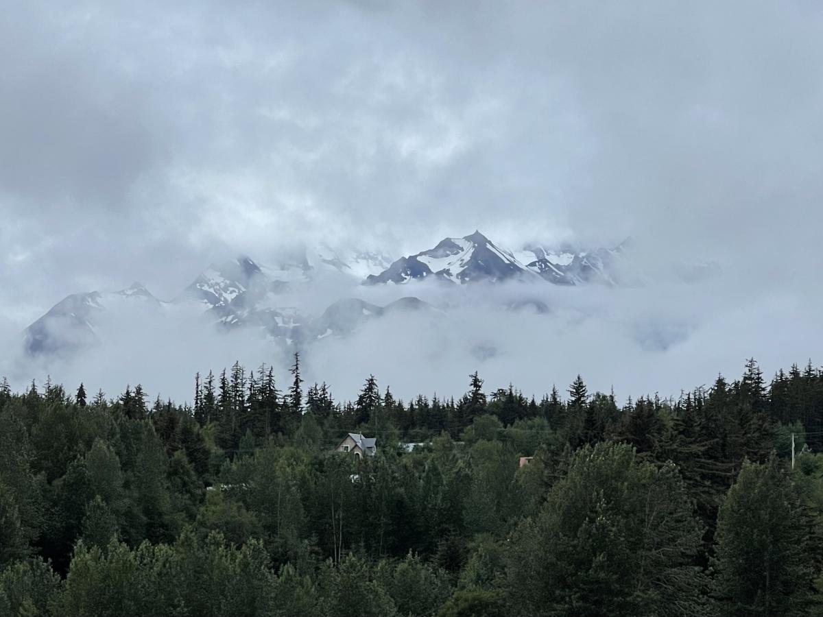 What to Do in Haines, Alaska on a Rainy Day: Embrace the Rain or Seek ...