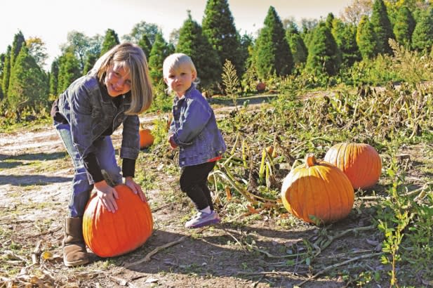 2023 Guide To Hamilton County Pumpkin Patches