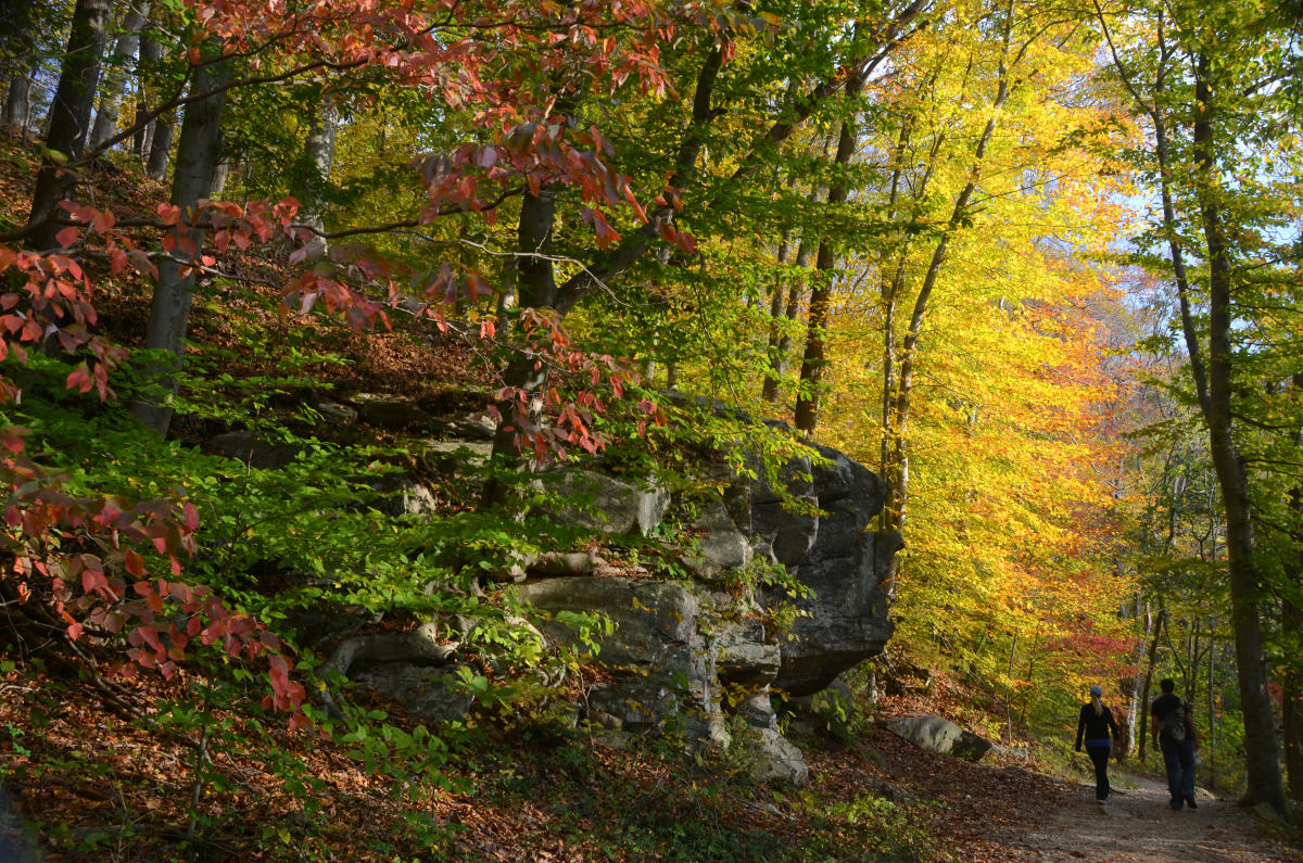 9 Hiking Spots to Explore in Harford County