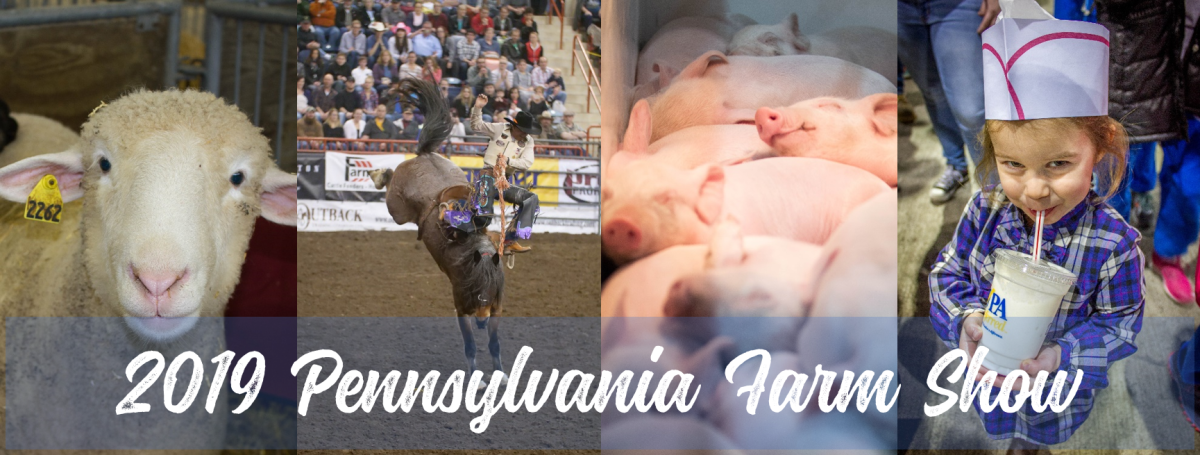 PA Farm Show: What to See, Do, Eat