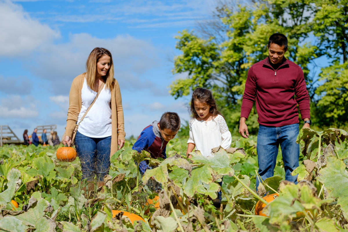 Creating Fall Traditions Near Indianapolis, Indiana
