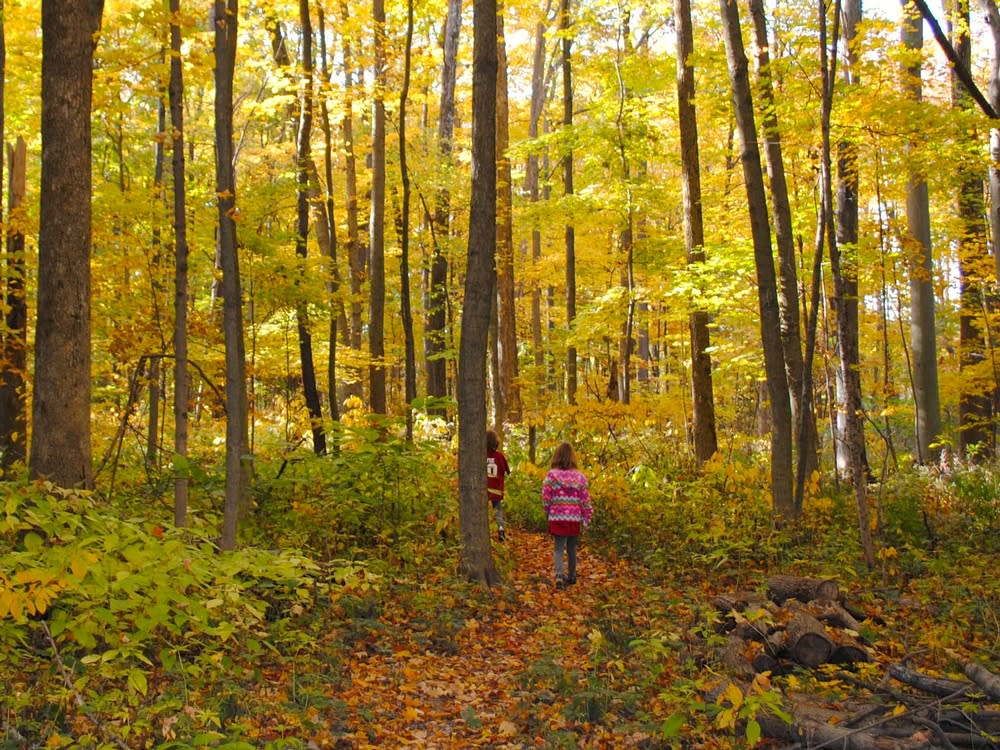 5 Locations to See Fall Color in Hendricks County