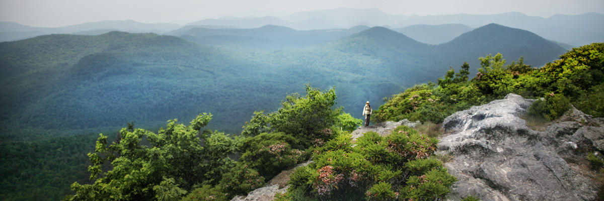 Best Highlands Hikes for Spring Blooms