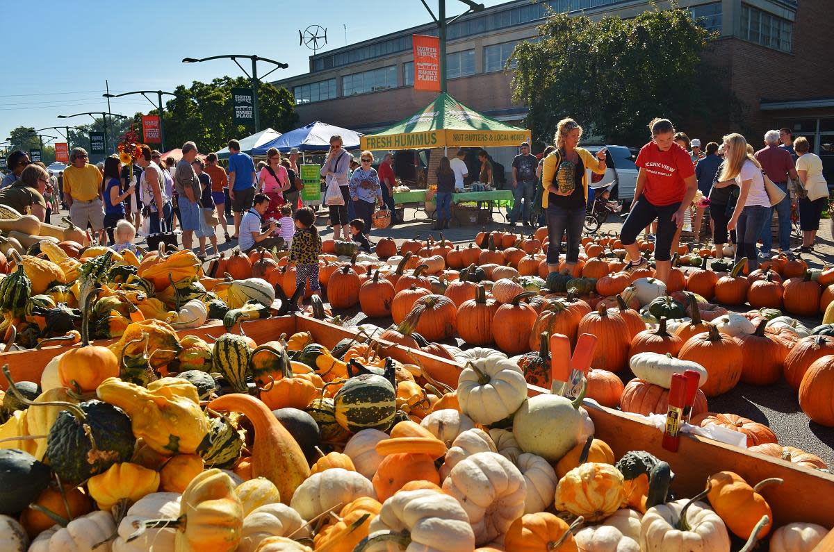 7 Unique Fall Experiences to Have in Holland