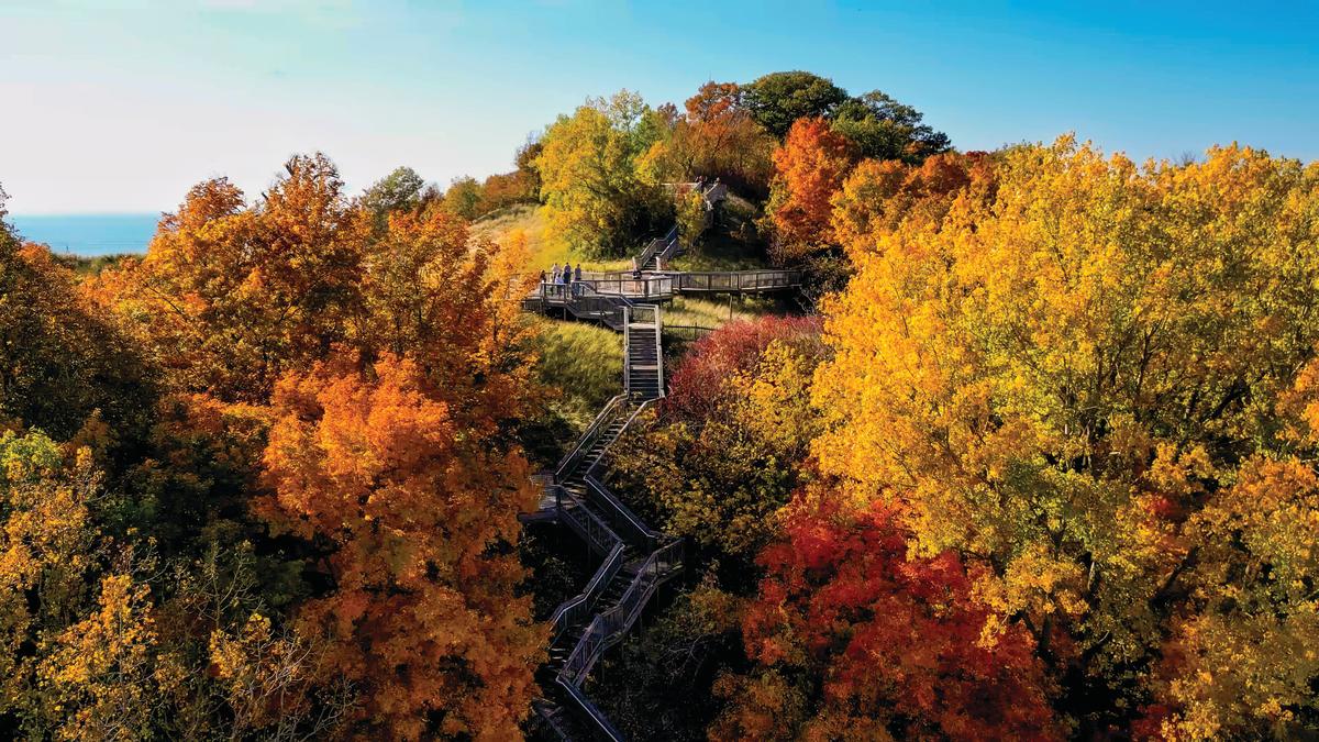 Ultimate Fall Bucket List