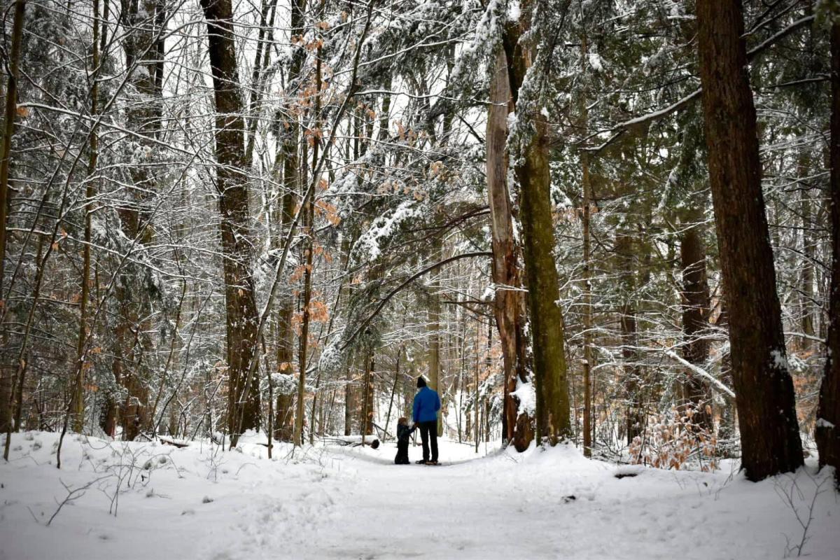 The Ultimate Guide to Hiking in Holland, Michigan