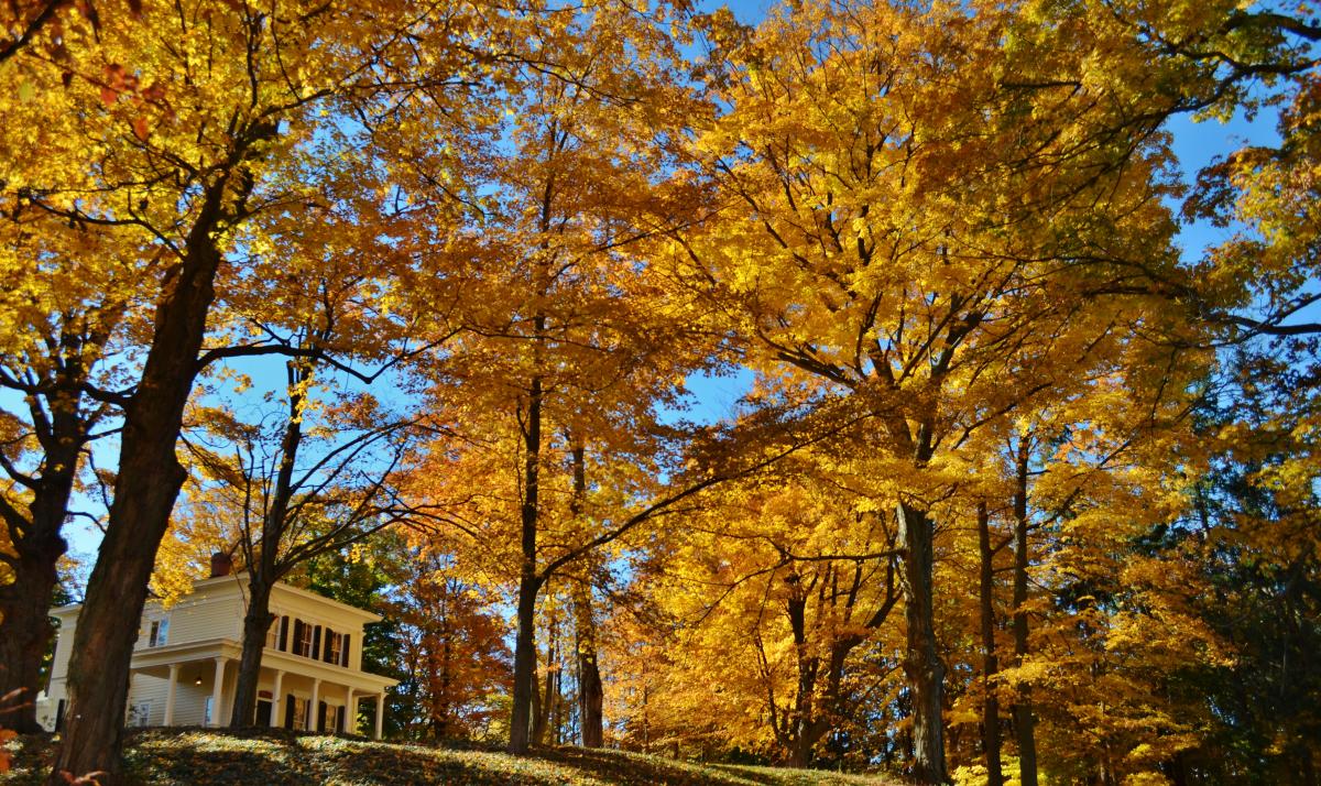 Explore VanRaalte Farm Park