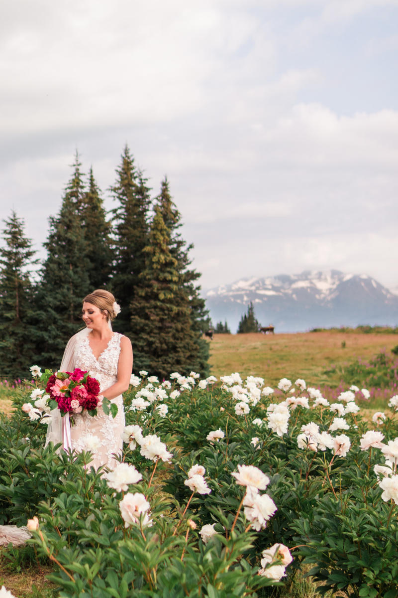 Experience Homer's Annual Peony Celebration - Uncover the Beauty of ...