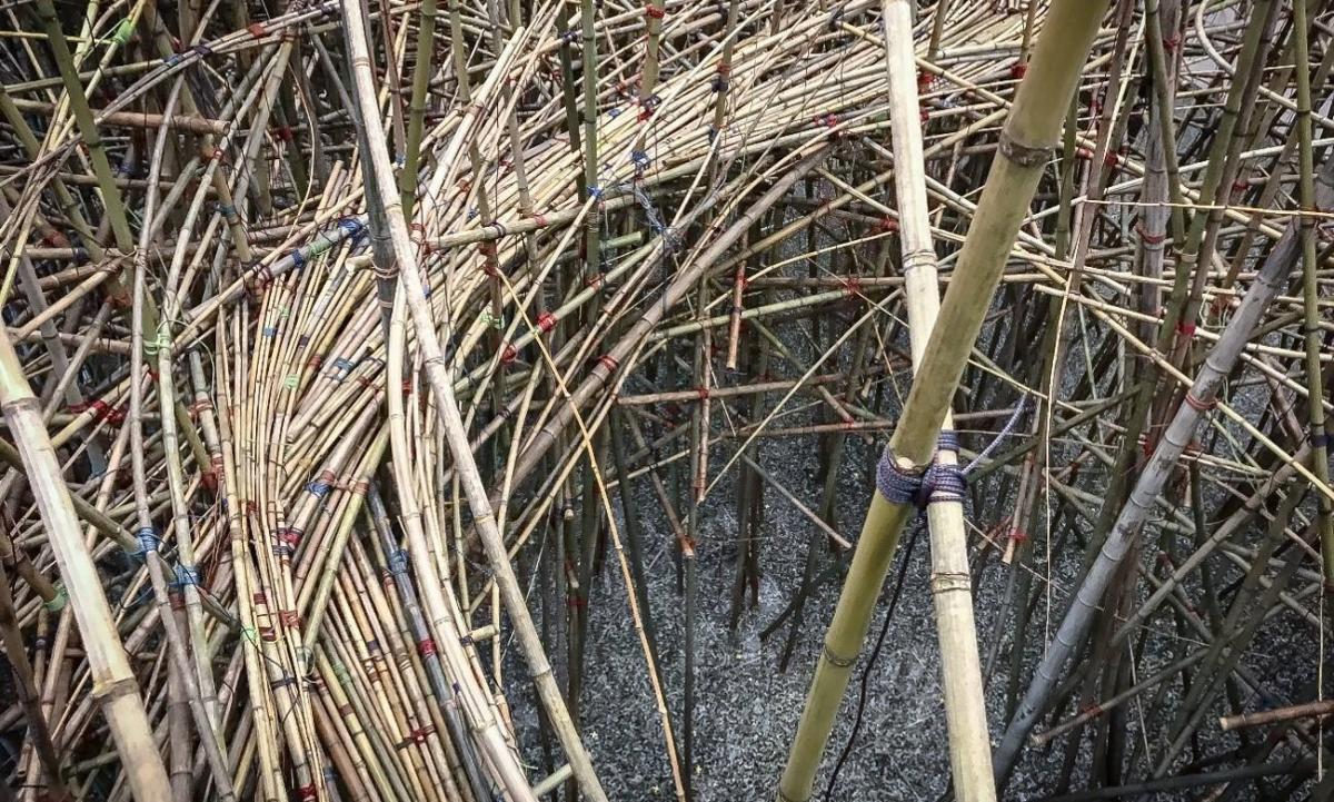 Last Call! Big Bambú This Thing Called Life at MFAH