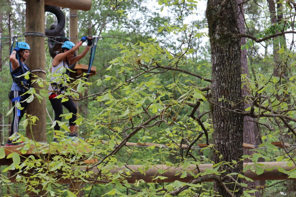Explore The Treetops in The Woodlands | Houston Day Trips