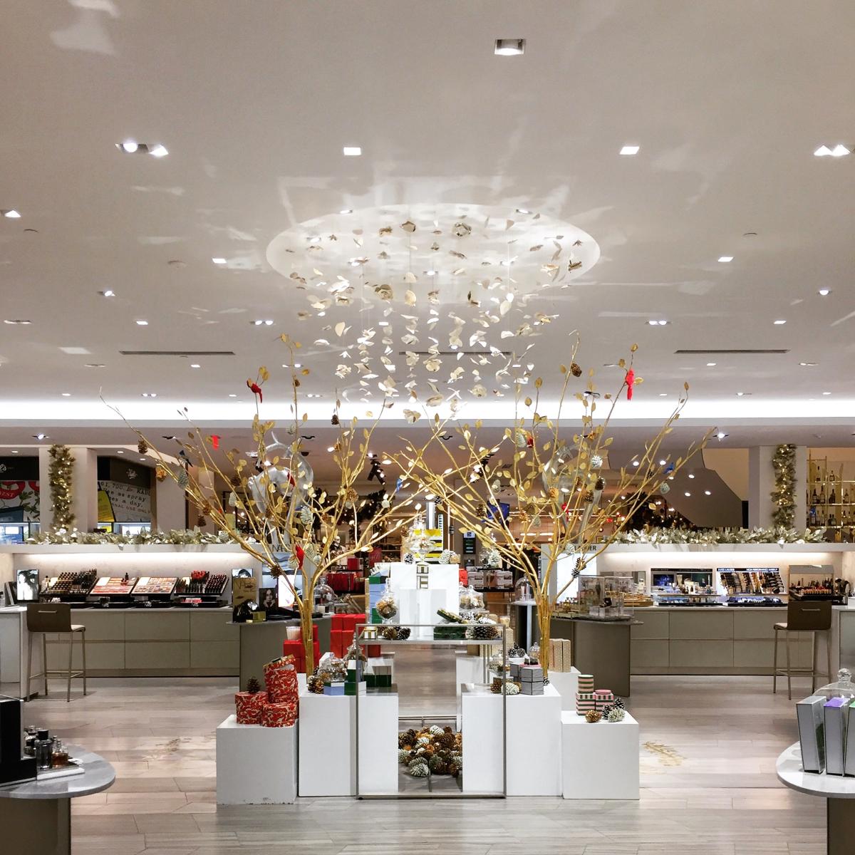 Houston Travel Guide for November 2024 | Visit Houston