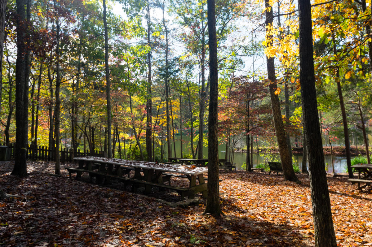 Get your winter hike on at Madison County Nature Trail on Green Mountain