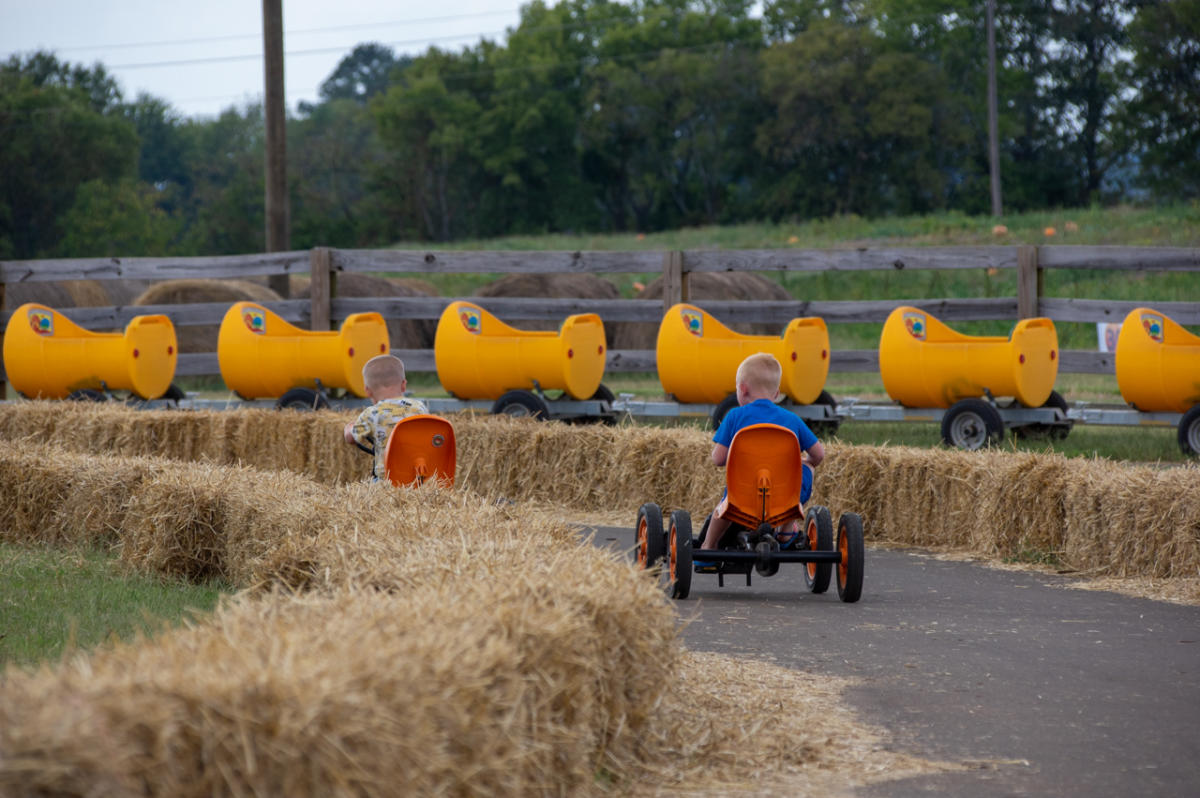 Pumpkin Patches and U-Pick Farms in Huntsville, Alabama and Beyond