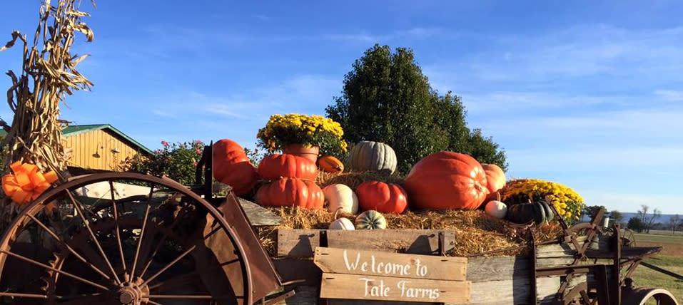 Things to Do in Fall in Huntsville