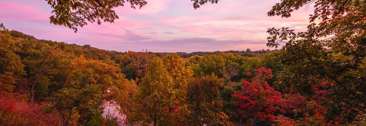 Best Indiana Fall Foliage | Visit Indiana | IN Indiana | IDDC
