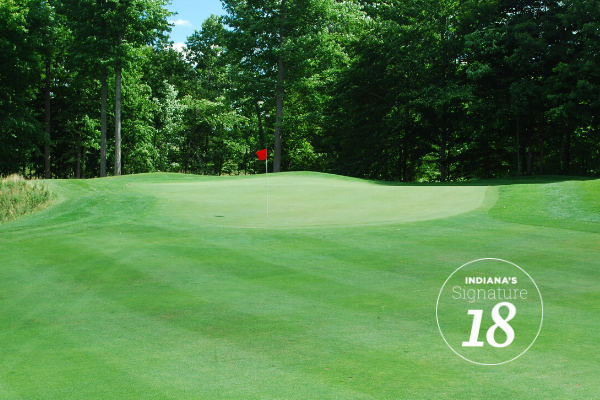 Indiana's Signature 18: Hole #10 at Noble Hawk Golf Links