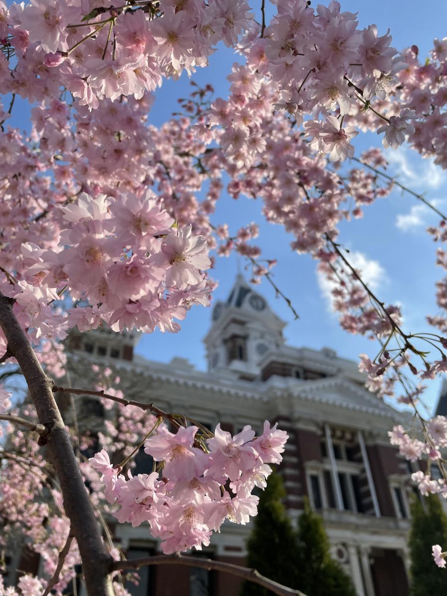 Spring Break in Festival Country!