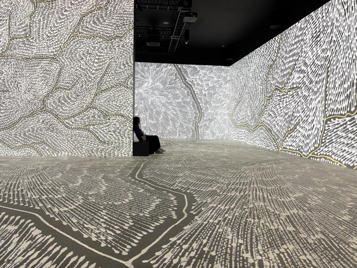 "Connection: Land, Water, Sky" LUME Exhibit at Newfields