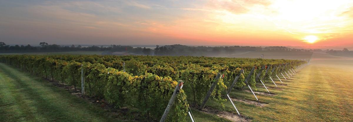 Best Wineries IN Indiana | Visit Indiana | IN Indiana | IDDC
