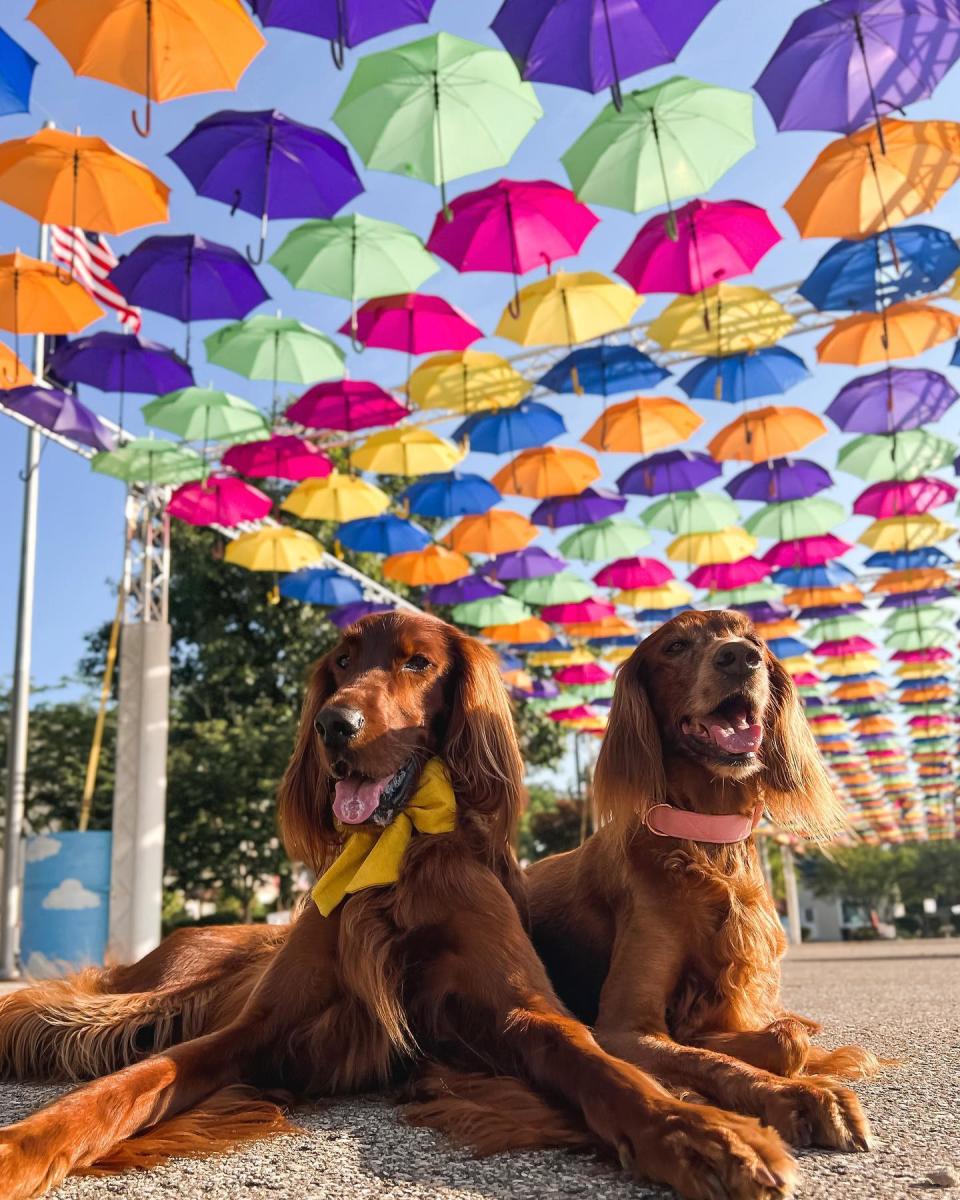 Things to Do IN Southeast Indiana | Visit Indiana