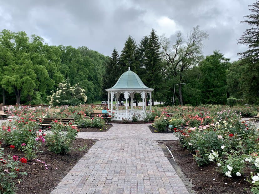 Everything’s coming up roses at this gorgeous Richmond garden
