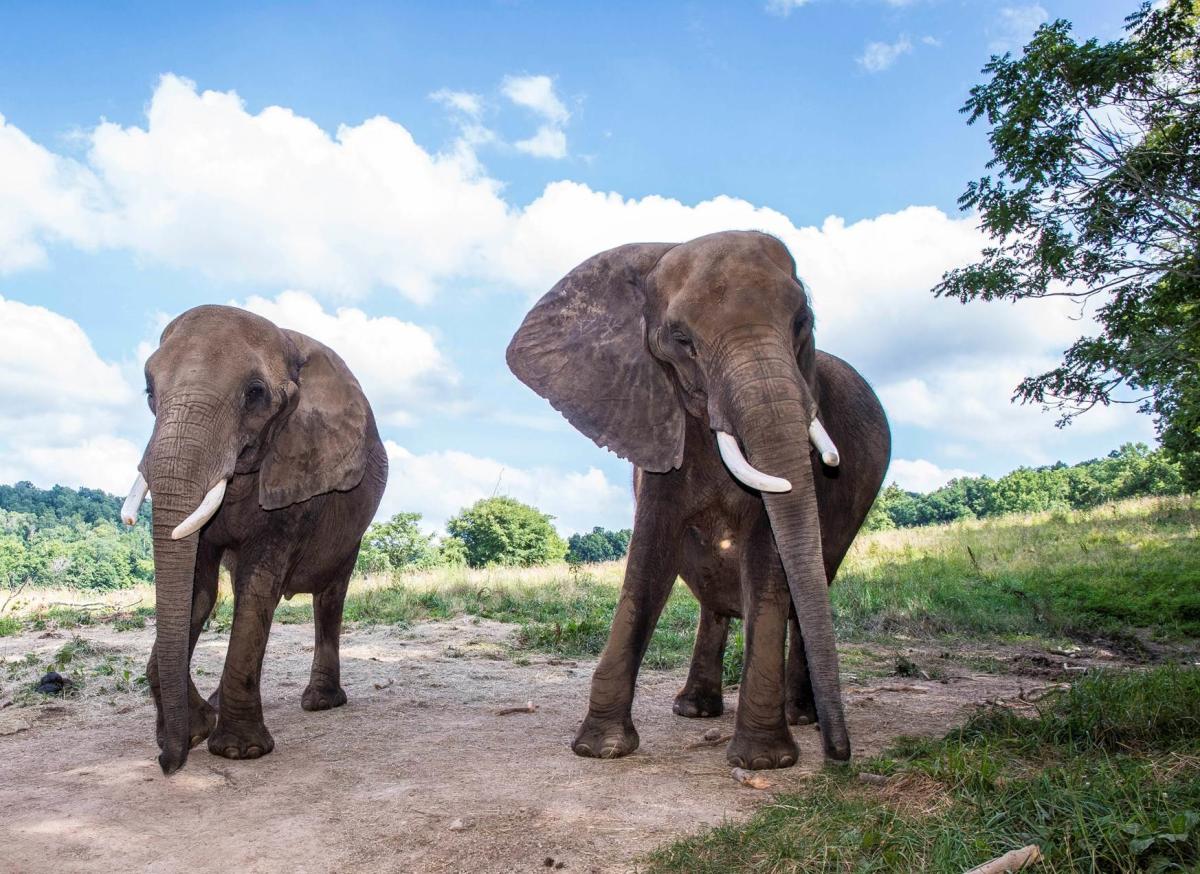 animal encounters at Wilstem