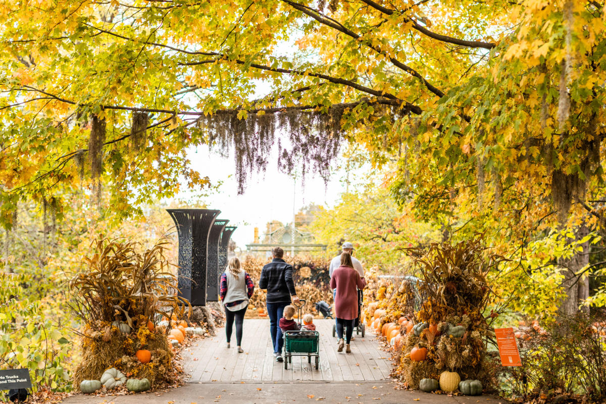 Fall Festivals in Indianapolis | Art, Music & Cultural Events