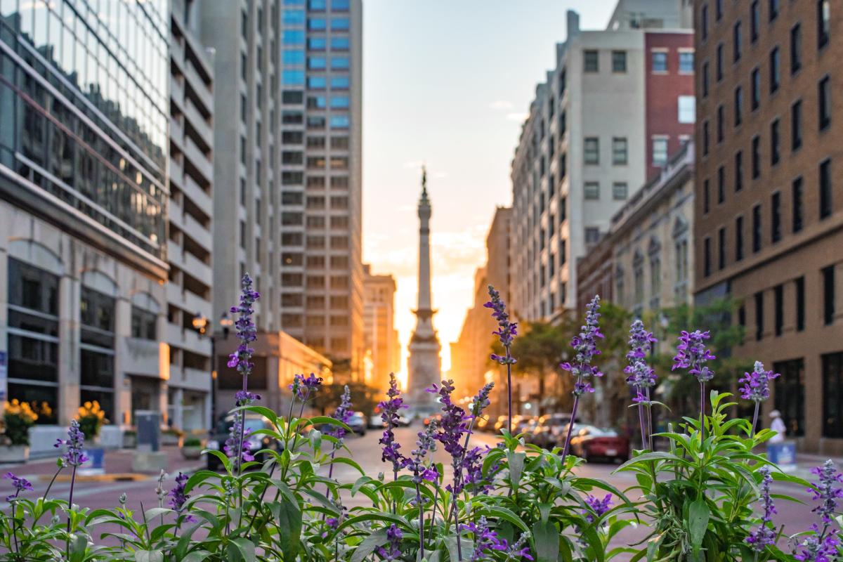 Best Places to See Spring Flowers Bloom | Visit Indy