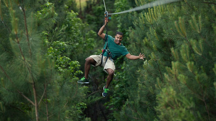 Blog | Go Bananas At Go Ape Zipline Adventure Park | Visit Indy