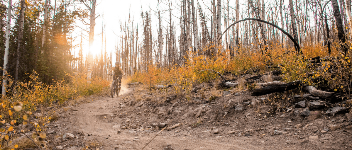 Top 9 Places to Visit in Cedar City This Fall