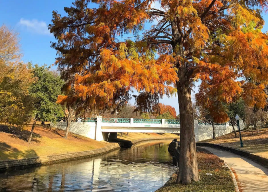 Irving Things to do in November | Events & Activities in Irving