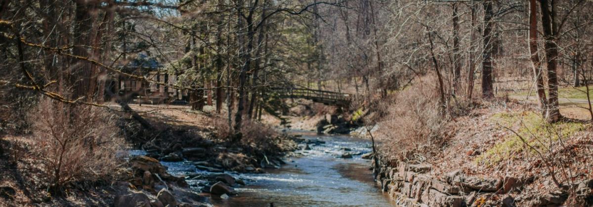 Plan Your Visit to Ithaca | Travel Tips & Itineraries