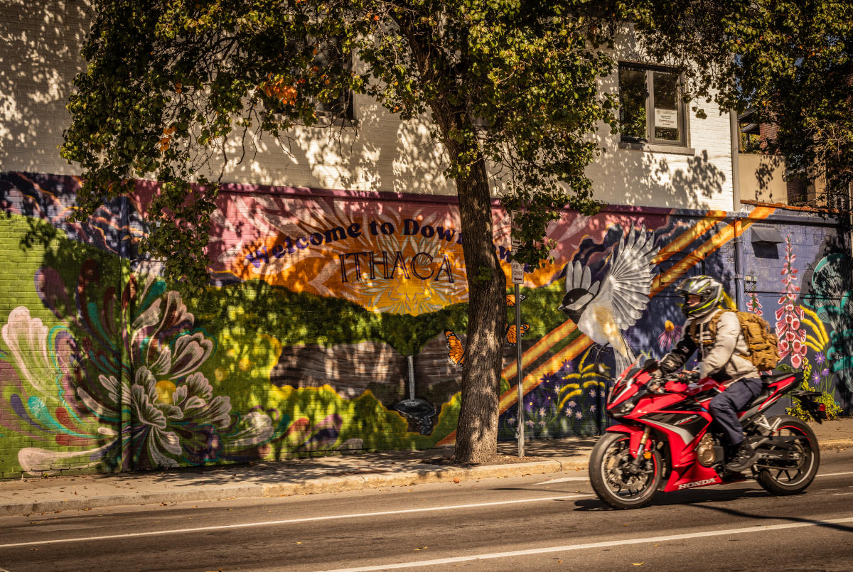 Ithaca Murals and Public Art