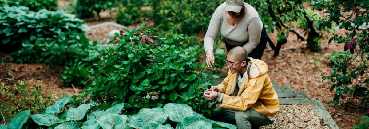 What To Do In Ithaca, NY | Hiking, Restaurants & Live Music