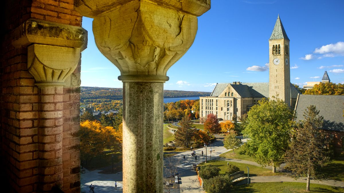 Cornell University Botanic Gardens Lab Of Ornithology