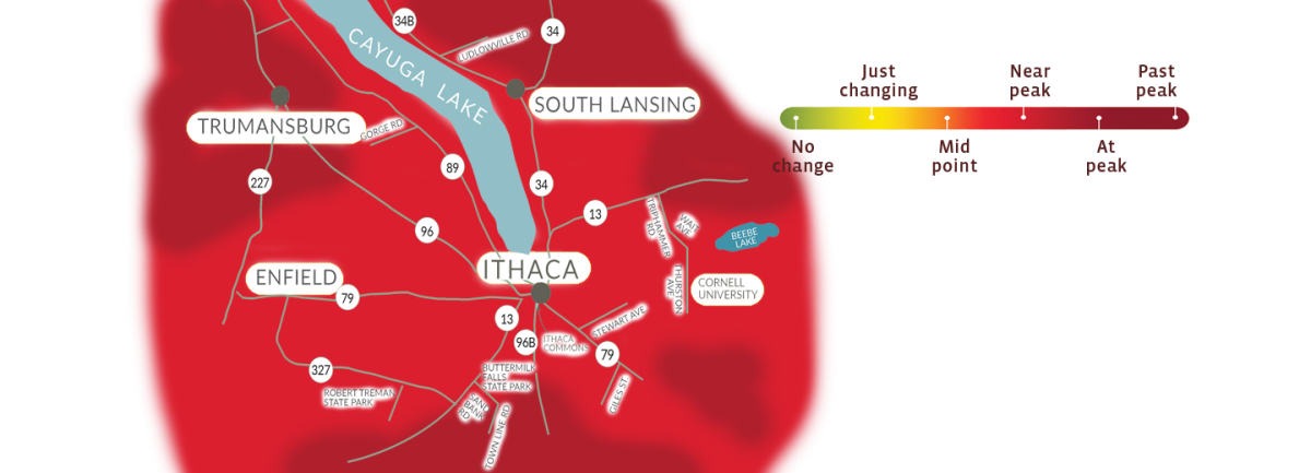 Ithaca NY Fall Foliage Report | Autumn Colors Tracker