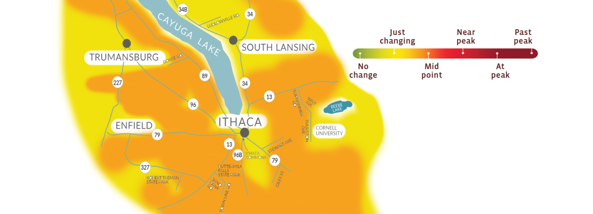 Fall Foliage Report In Ithaca, NY | Autumn Leaf Colors