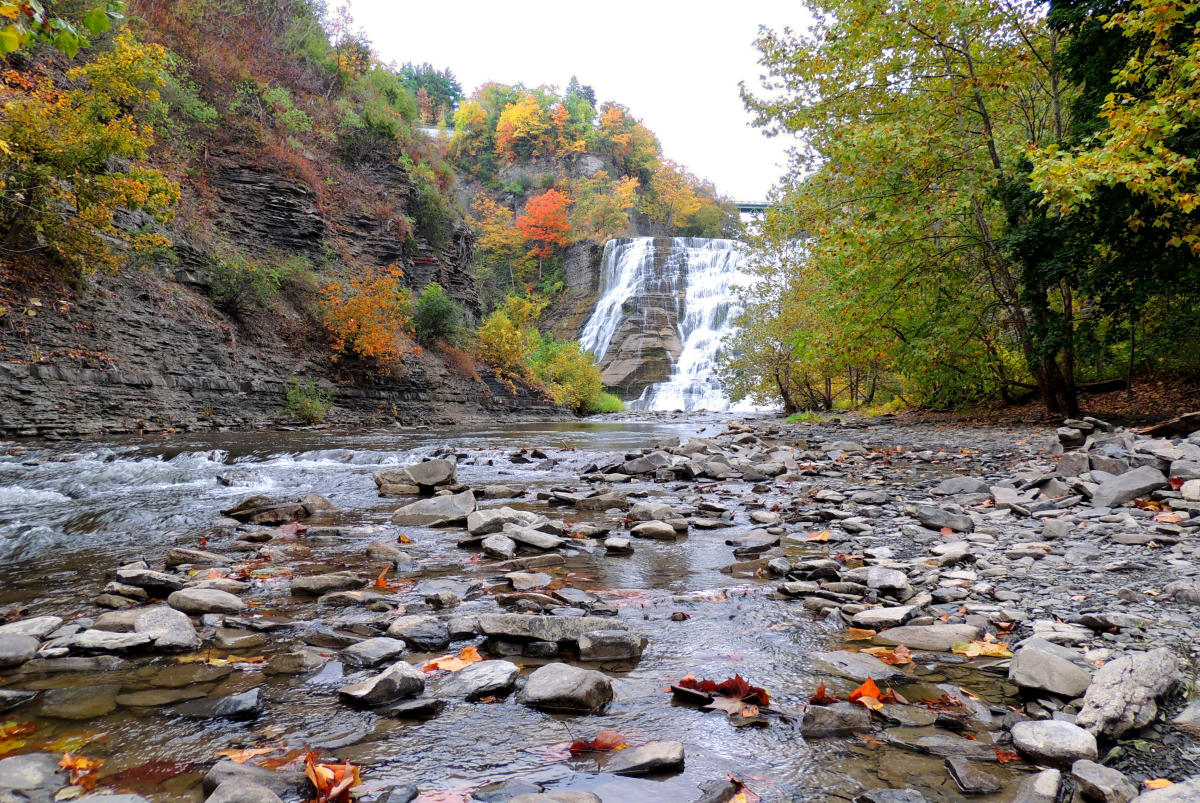 Ithaca Fall Events Guide: Where to Go and What to See | Fall Things to Do