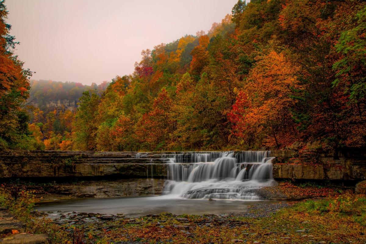 Must-See Scenic Drives While Visiting Ithaca