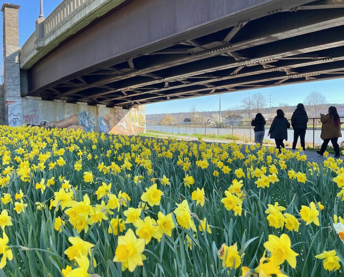 Annual Spring Art Events in Ithaca, NY | Local Festivals