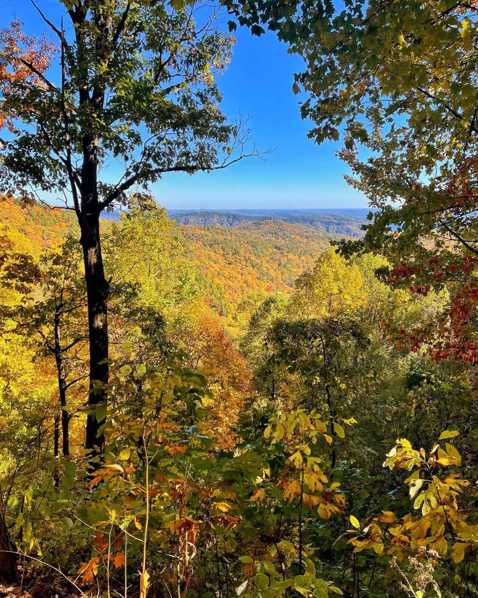 jacksoncountync | Bad Creek Trail