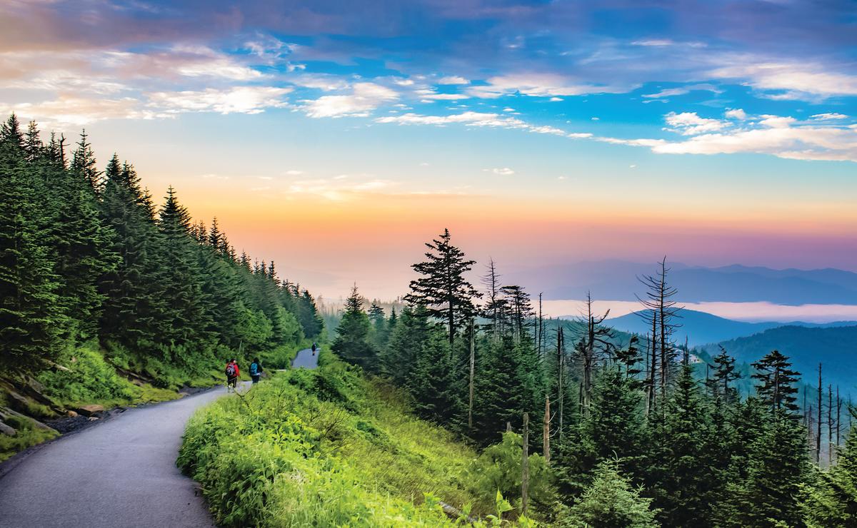 clingmans' dome