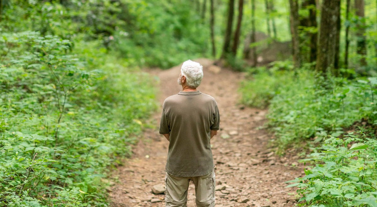 Forest Bathing in Jackson County with Dr. Mark Ellison