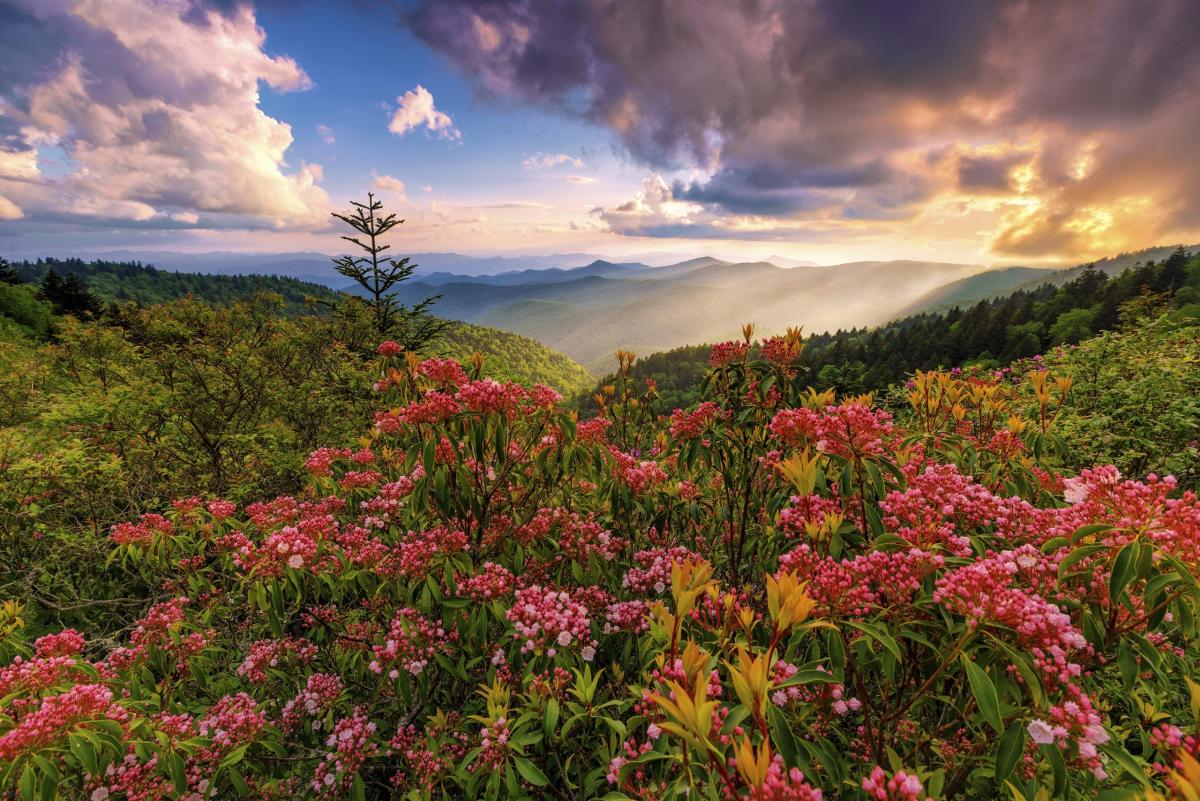 Best Spring Hikes in the NC Mountains