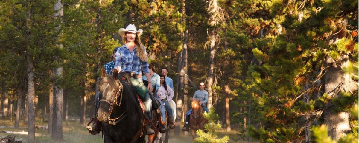 Horseback Riding in Jackson Hole, WY | Western Trail Rides