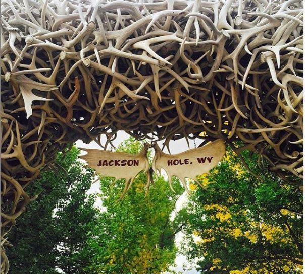 Fall in Jackson Hole: As Told by a Wildlife Safari Guide - Jackson Hole ...