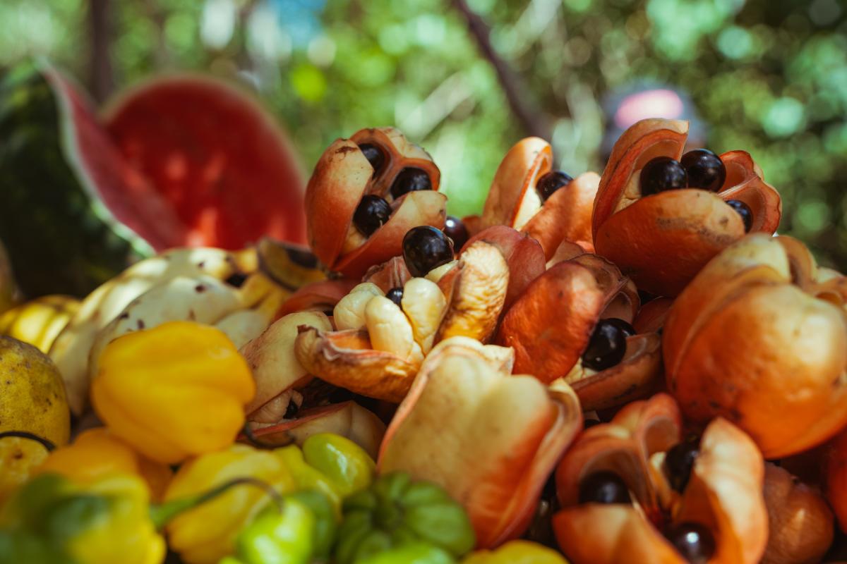 Ocho Rios Restaurants | Dining in Jamaica | Visit Jamaica