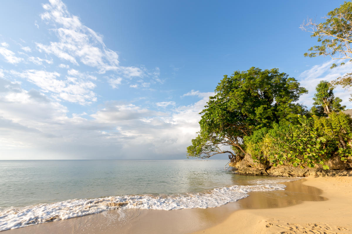 Meet in Jamaica
