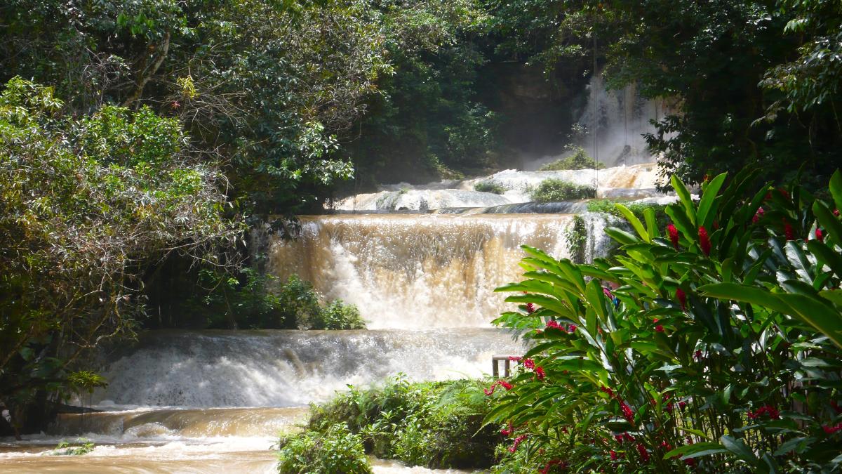 Somerset Falls Portland | Things to Do Outdoors | Visit Jamaica