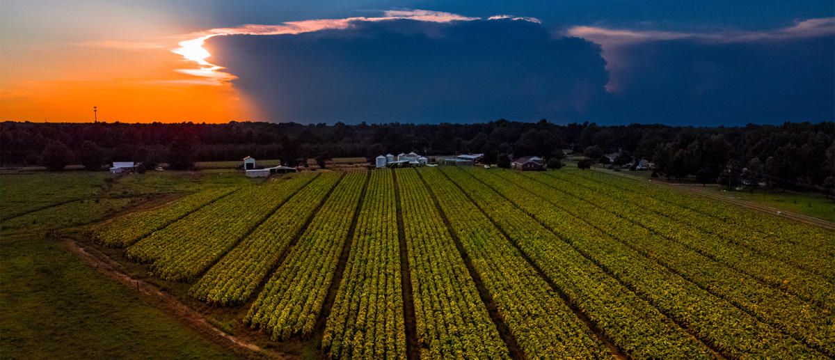 Media|Johnston County, NC